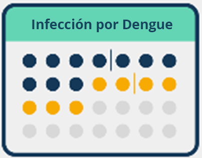 Enfermedad | Desafío Dengue Argentina